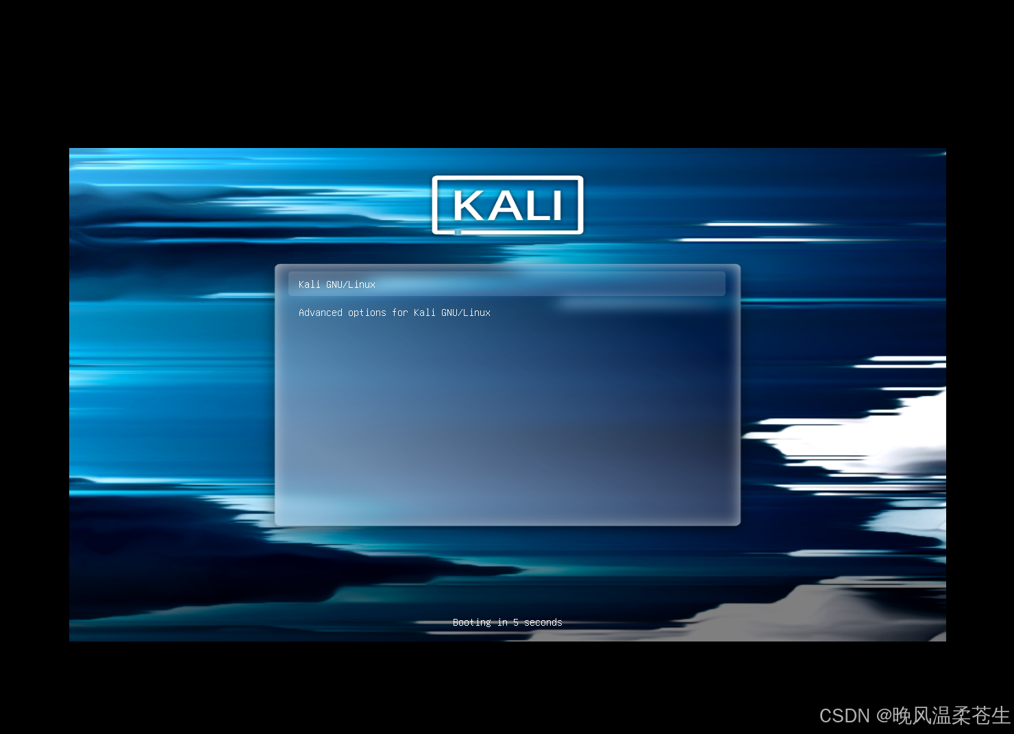 vmware安装配置kali_vmware安装kali-CSDN博客