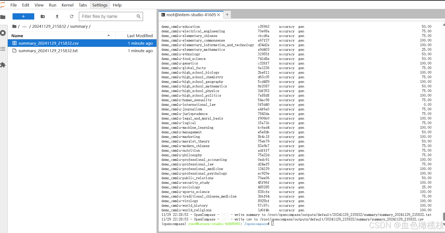 基础岛-L1G6000-CSDN博客