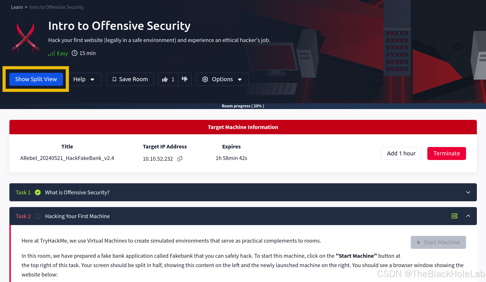 【TryHackMe翻译】Offensive Security Intro(进攻性安全简介)-CSDN博客