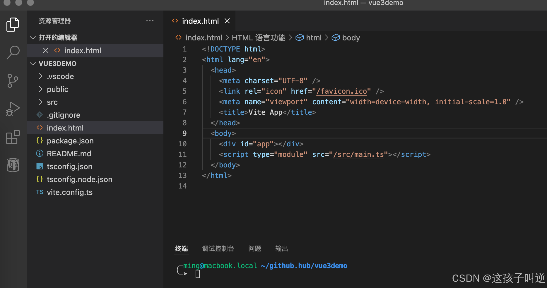 NodeJS安装，Vite创建项目，vue-router使用_nodejs安装vite-CSDN博客