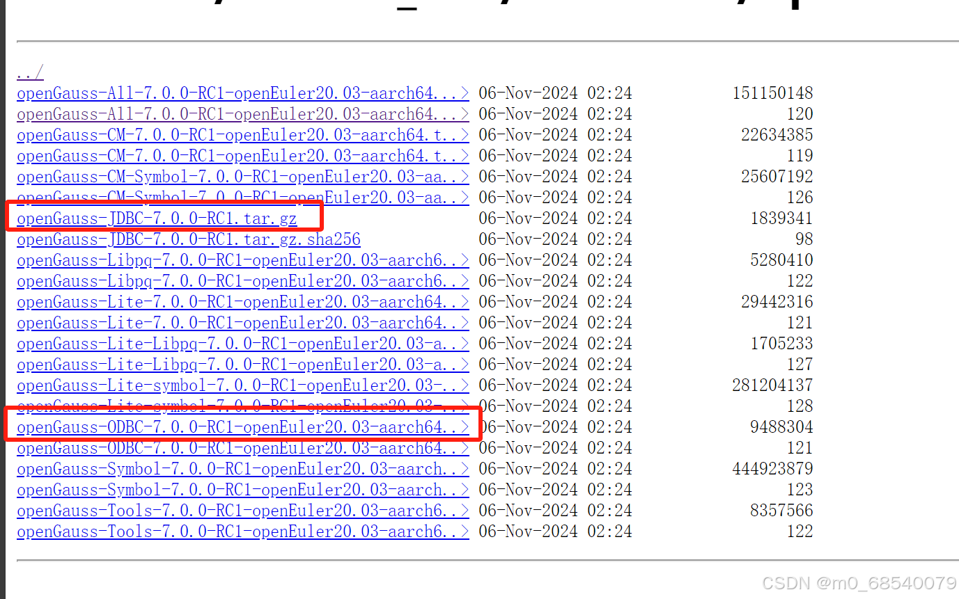 datagrip利用jdbc连接opengauss转测版本_datagrip连接opengauss-CSDN博客