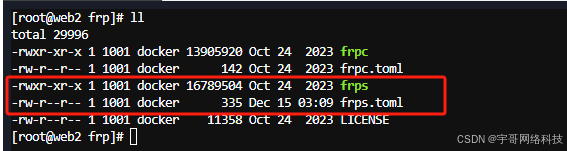 基于centos7.9系统FRP0.52.3版本部署_frp centos-CSDN博客