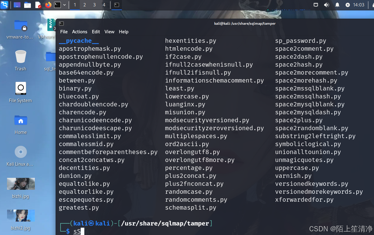 Sqlmap简单使用实操sqlmap U Csdn博客