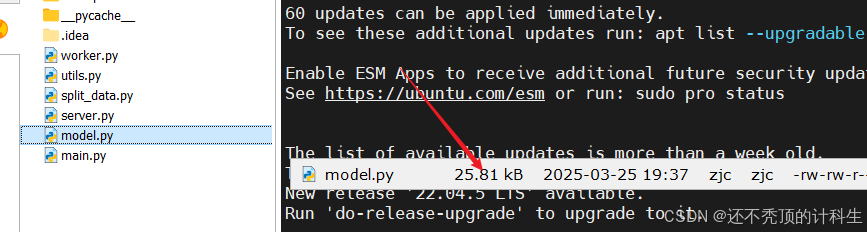 “unable to write authority file /home/zjc/.Xauthority-n”解决方法-CSDN博客
