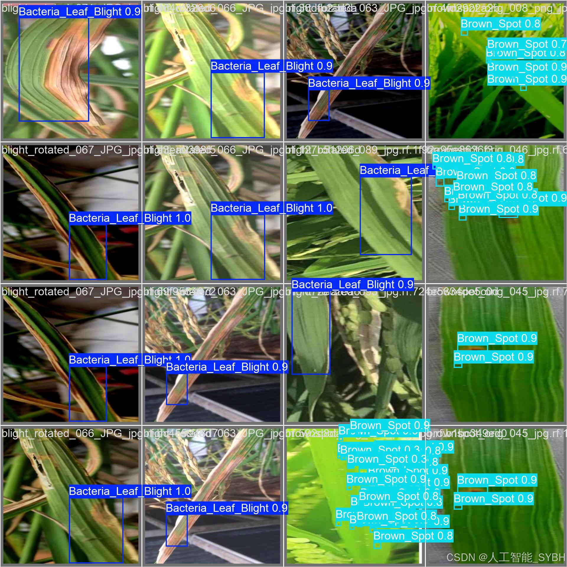 基于YOLOv8深度学习的水稻病害检测系统（YOLOv8+YOLO数据集+UI界面+Python项目源码+模型）_水稻病害检测项目-基于yolov8-CSDN博客