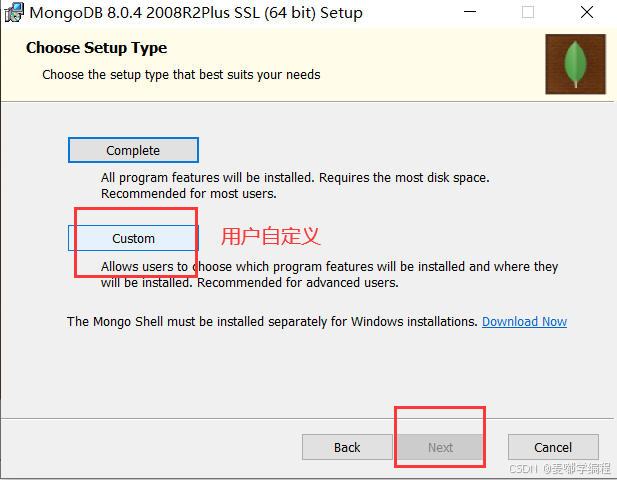 MongoDB8.0安装步骤_mongodb 安装-CSDN博客