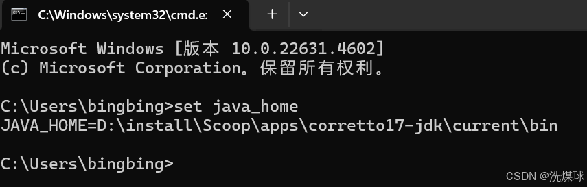 SCOOP安装java，使用环境变量进行版本切换管理_scoop 安装java-CSDN博客