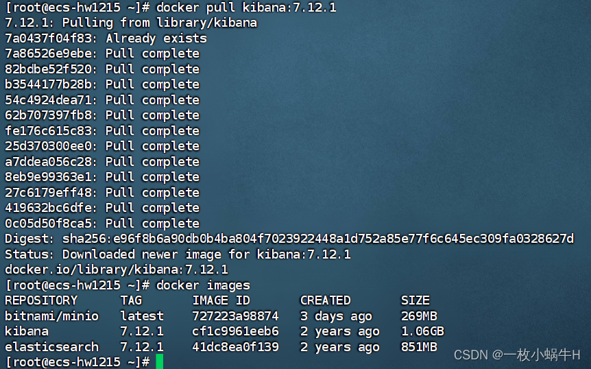 Docker安装Elasticsearch超详细图文附ES、IK压缩包_docker 安装es-CSDN博客