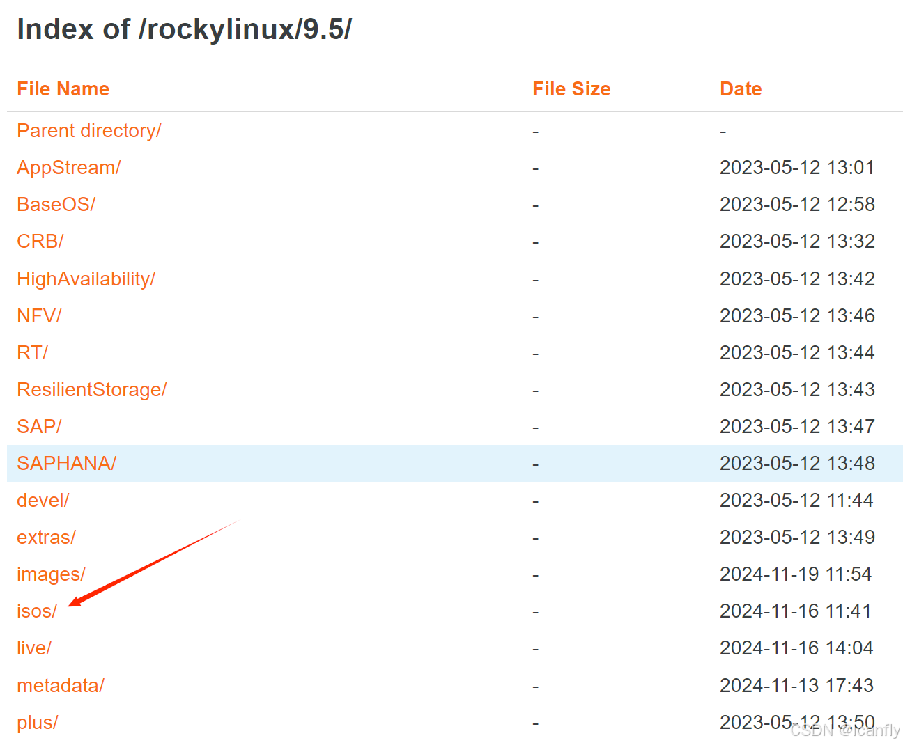 RockyLinux的下载安装步骤_rocky linux下载-CSDN博客