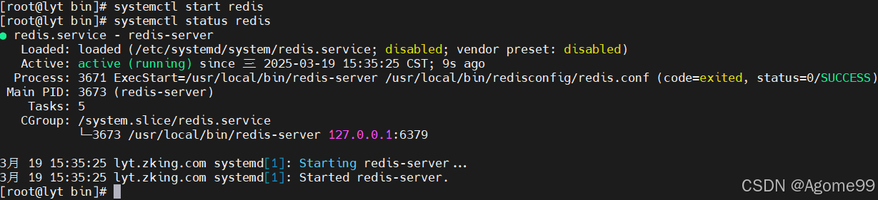 Linux下安装Redis(超详细)_linux安装redis-CSDN博客