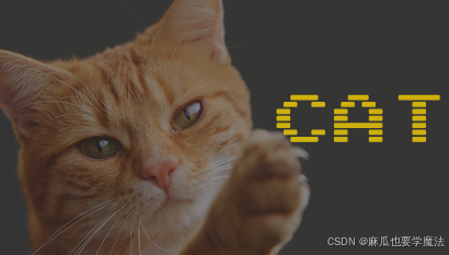 Linux cat 命令教程：轻松学会小猫看一看（附语法常用实例及扩展）-CSDN博客