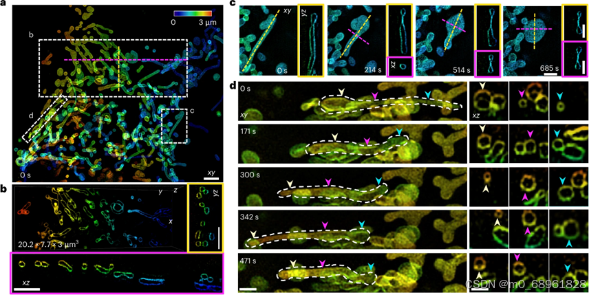 细胞成像的超级“放大镜”——4Pi-SIM_3d-sim ppt-CSDN博客