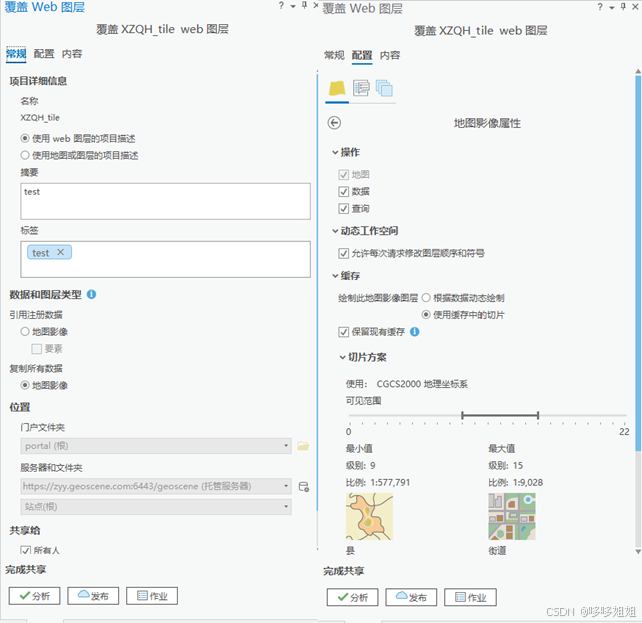GeoScene Pro 二维服务发布方法_geoscene 发布服务-CSDN博客