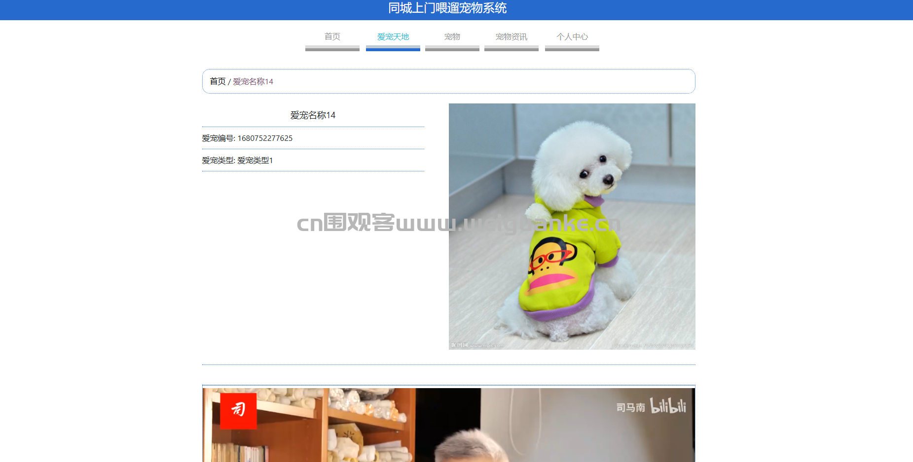 同城上门喂遛宠物系统-springboot vue java-CSDN博客