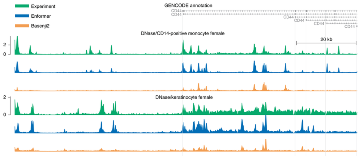 【论文详解】AlphaGenome——Sequence-to-Multimodal-Genome-Track-CSDN博客