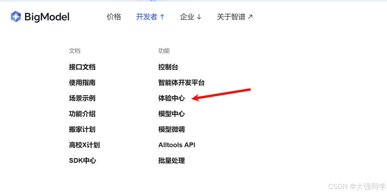 BigModel注册使用教程-CSDN博客