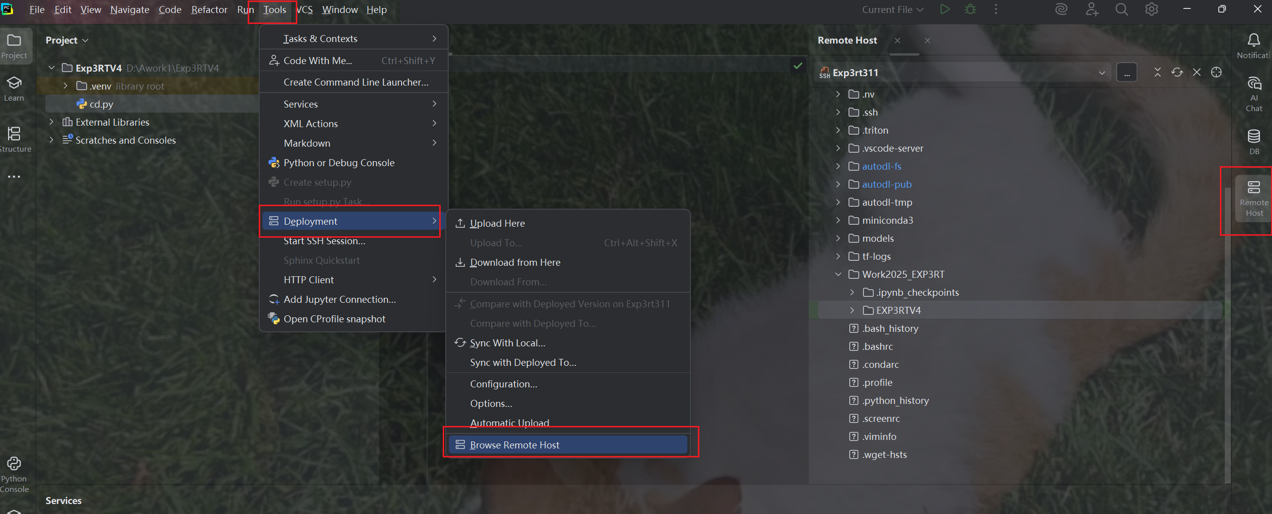 pycharm2025新版连接远程服务器，pycharm2025新版找不到Deployment找不到remote host_pycharm的tools里没有deployment-CSDN博客