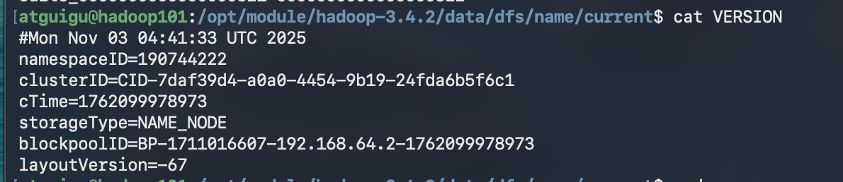 NameNode 和 DataNode 的集群 ID 存在哪里？_hdfs命令查看namenode的集群id-CSDN博客
