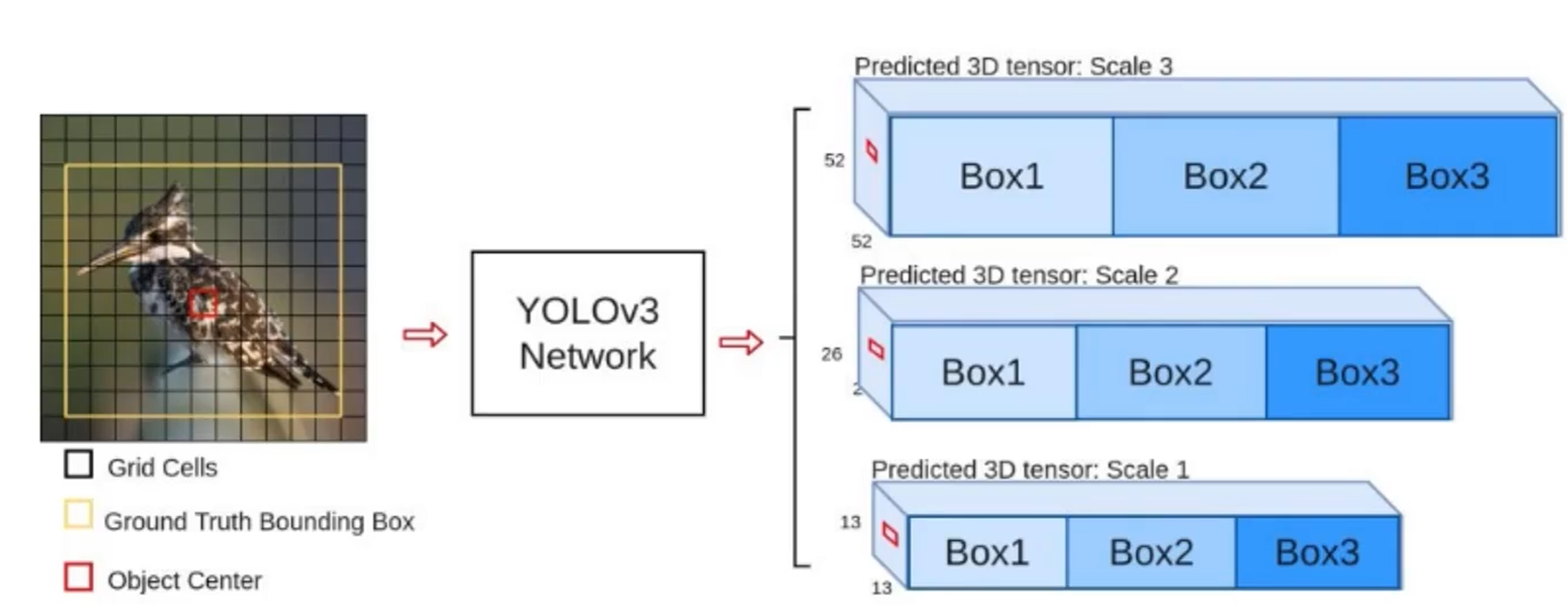YOLO入门：从概念到实战-CSDN博客