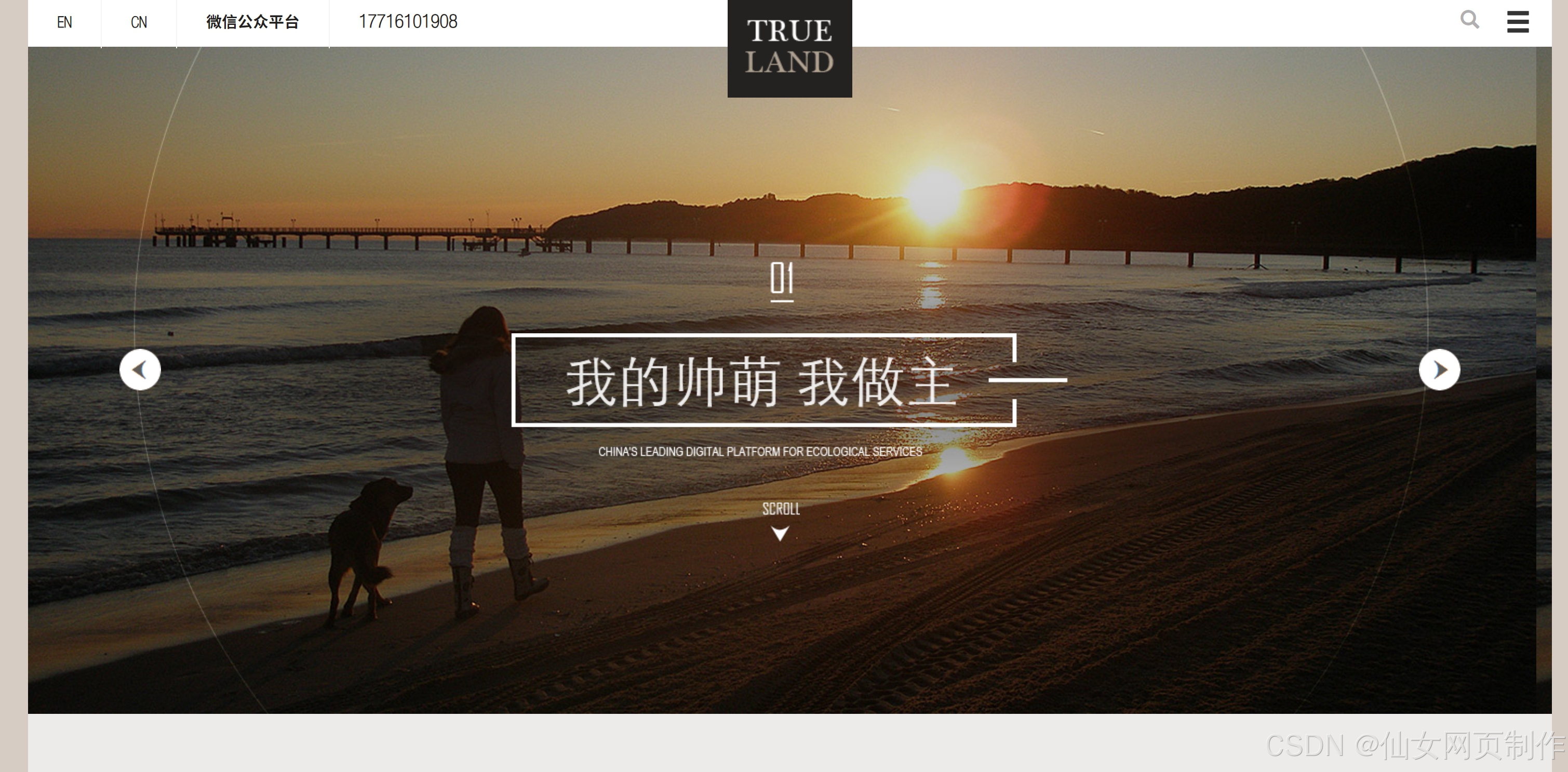 265 大学生html5期末大作业 ―【bootstrap 高端的宠物培训机构响应式自适应网页12页】 Web前端网页制作 Html5css3js Csdn博客