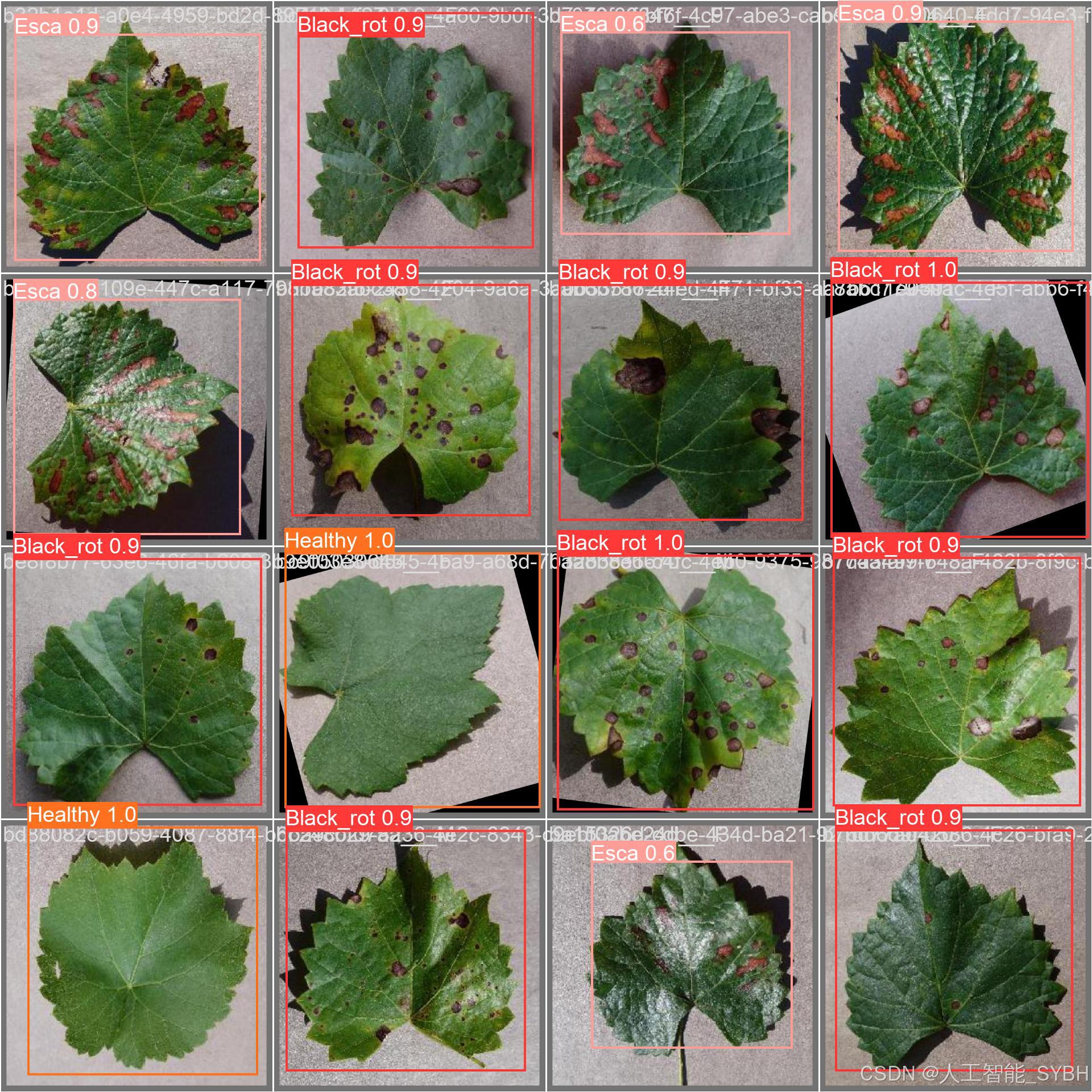 基于深度学习YOLOv10的葡萄叶片病害检测系统（YOLOv10+YOLO数据集+UI界面+Python项目源码+模型）_基于深度学习的葡萄叶部病害图像分类系统-CSDN博客