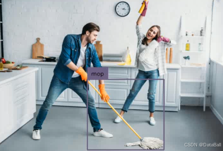 数据集-目标检测系列- 拖把，扫把 检测数据集 mops brooms＞＞ DataBall_扫把 数据集-CSDN博客