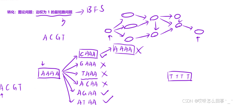 优先算法专题十六——BFS解决最短路径问题-CSDN博客