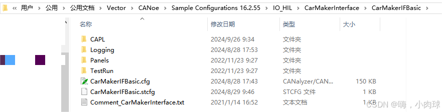 Carmaker与CANoe联合仿真测试_restbus simulation-CSDN博客