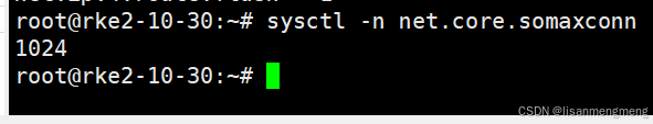 sysctl 命令介绍和使用案例_sysctl -w-CSDN博客