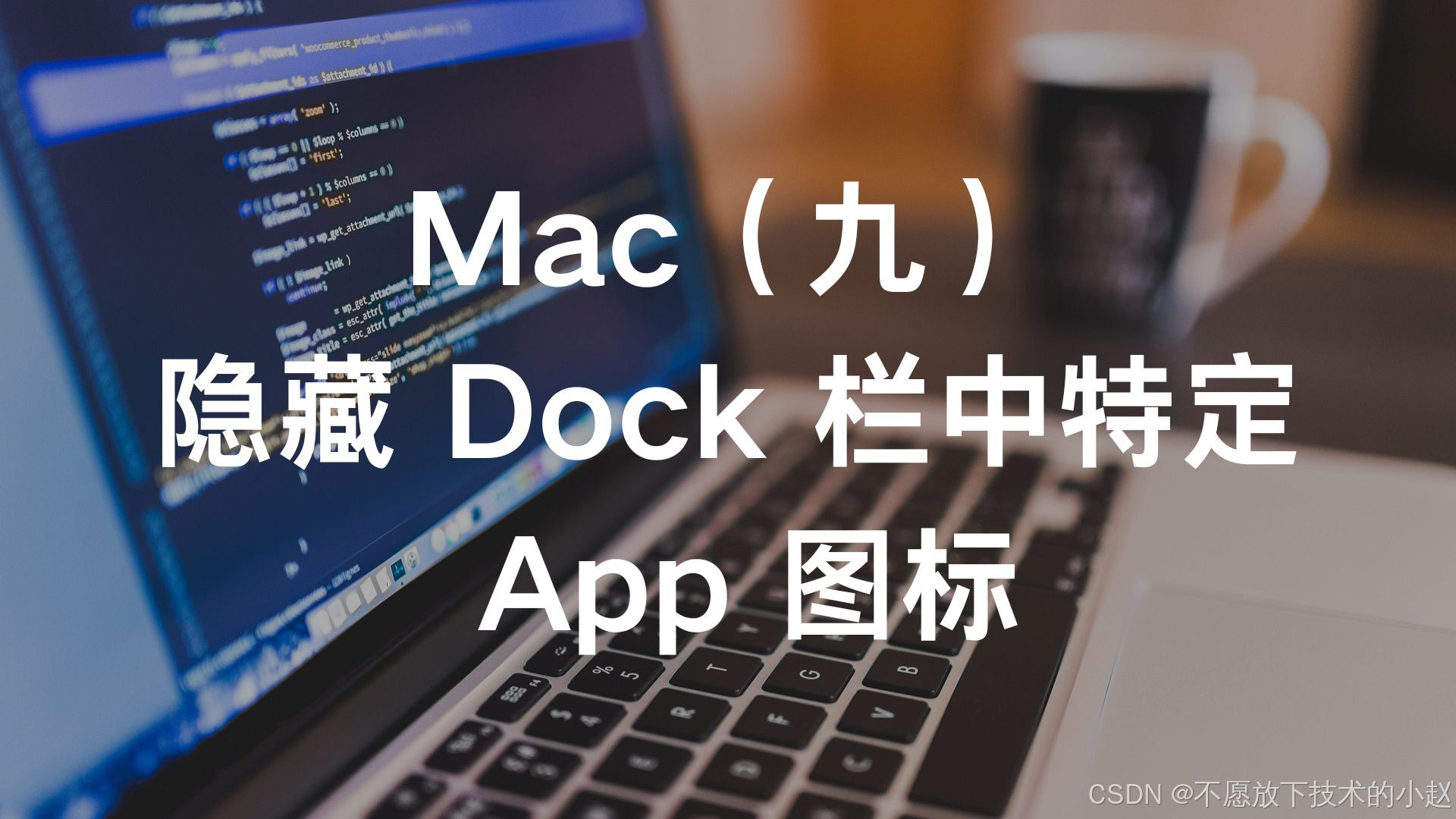 Mac（九）隐藏 Dock 栏中特定 App 图标_mac 隐藏dock栏程序-CSDN博客