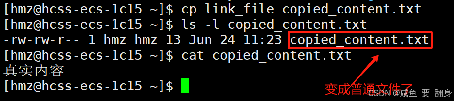 Linux基本命令篇 —— cp命令_linux cp-CSDN博客
