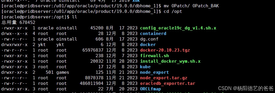 【ORACL 19C 时区版本升级DSTV32-DSTV43（ORA-39405）】_43补丁-CSDN博客