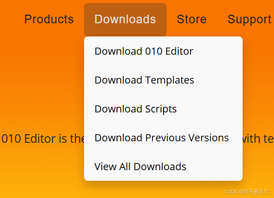 010 Editor的下载与安装_010editor下载教程-CSDN博客