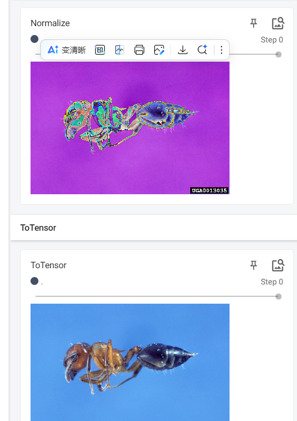 常见Transforms-CSDN博客