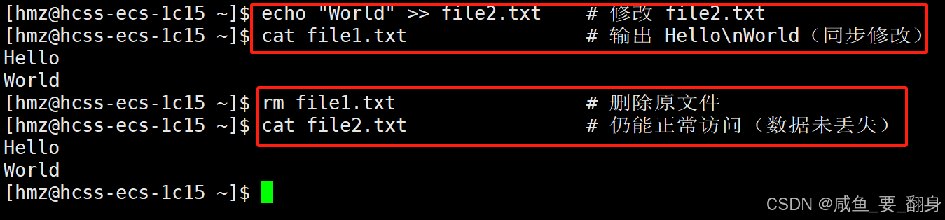 Linux基本命令篇 —— cp命令_linux cp-CSDN博客