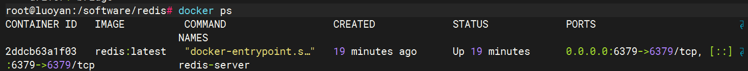 docker compose部署redis-CSDN博客