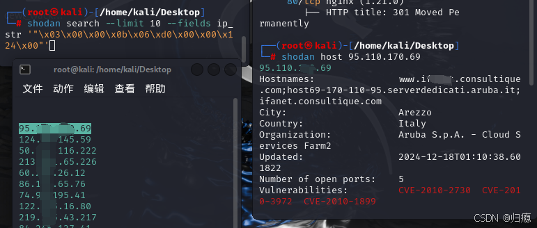 shodan笔记【全】_shodan语法-CSDN博客