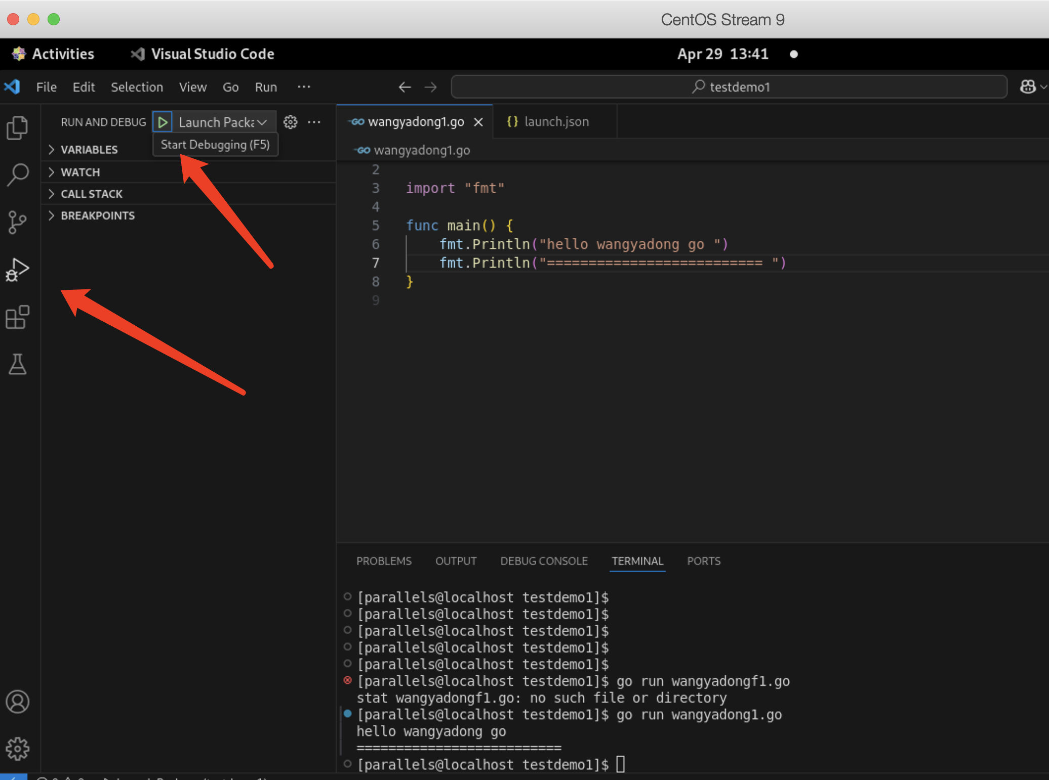 centos 9 使用vscode 配置go 环境以及新建go项目 _vscode go-CSDN博客