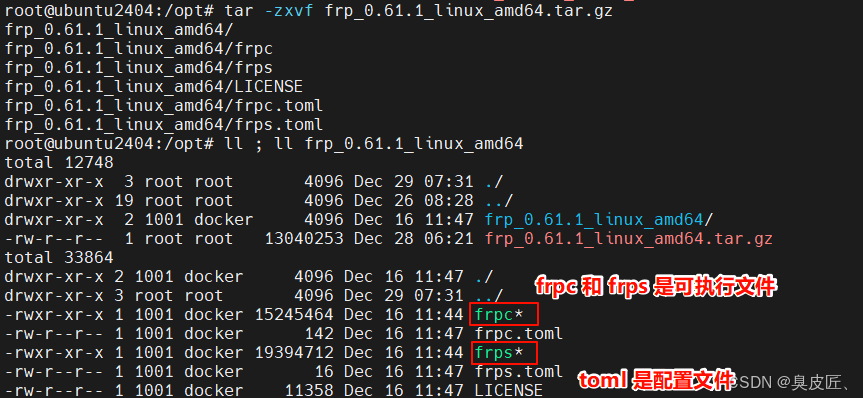 frp内网穿透的部署及使用（服务端和客户端都是Linux）_frp linux-CSDN博客