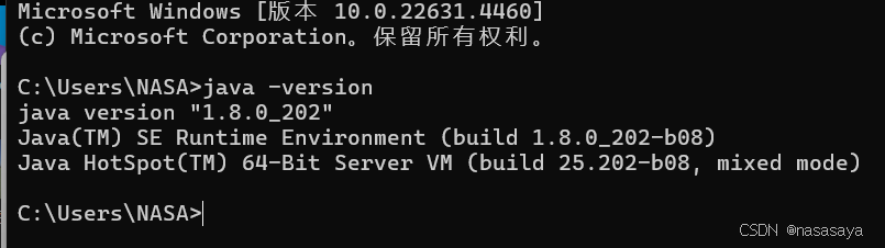 Java第一步：JDK8安装（win11)_win11安装jdk8-CSDN博客