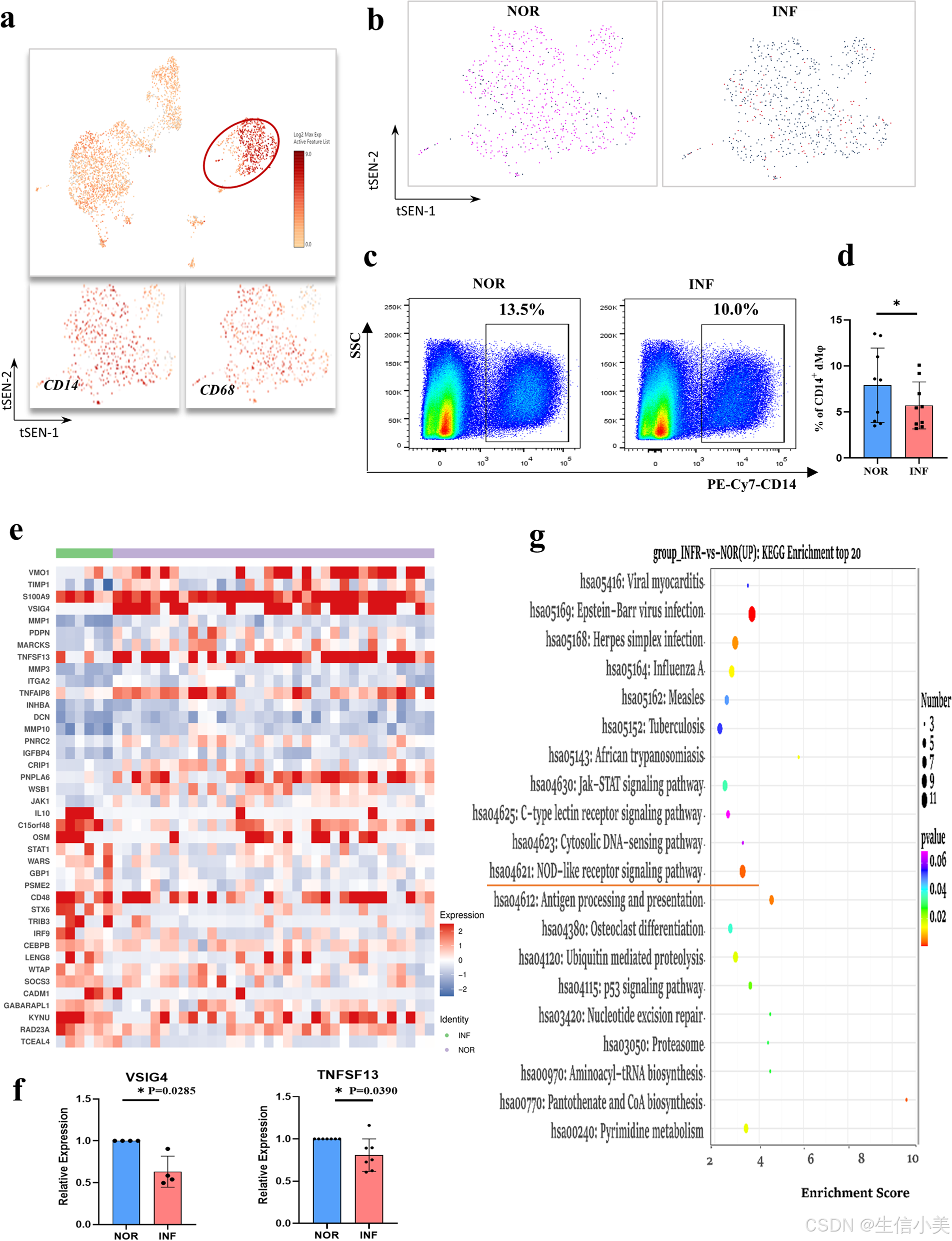 Single-cell transcriptomic analysis of decidual immune cell_transcriptomic analysis的结果是什么样的-CSDN博客