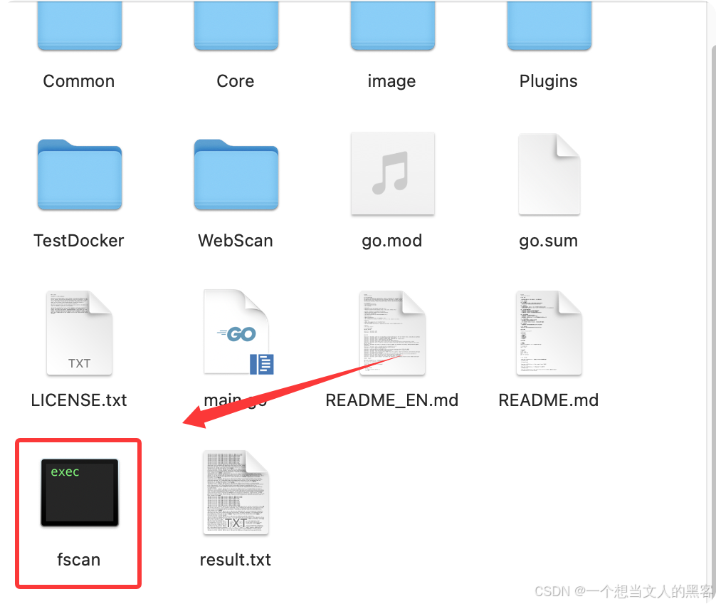 Mac版本Fscan下载和使用教程-CSDN博客