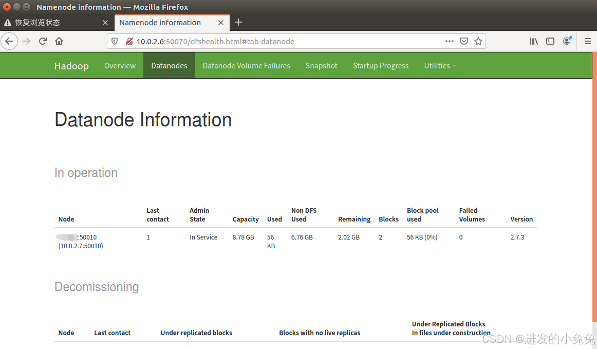 Hadoop集群：访问网站 Datanodes 显示只有一台_hadoop集群只有一个datanode-CSDN博客