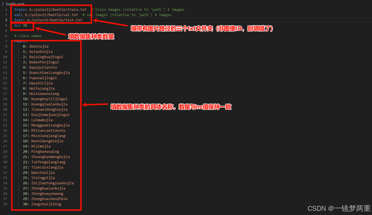 零基础小白教程-从零开始实现基于YOLOv11的目标检测_yolov11教程-CSDN博客