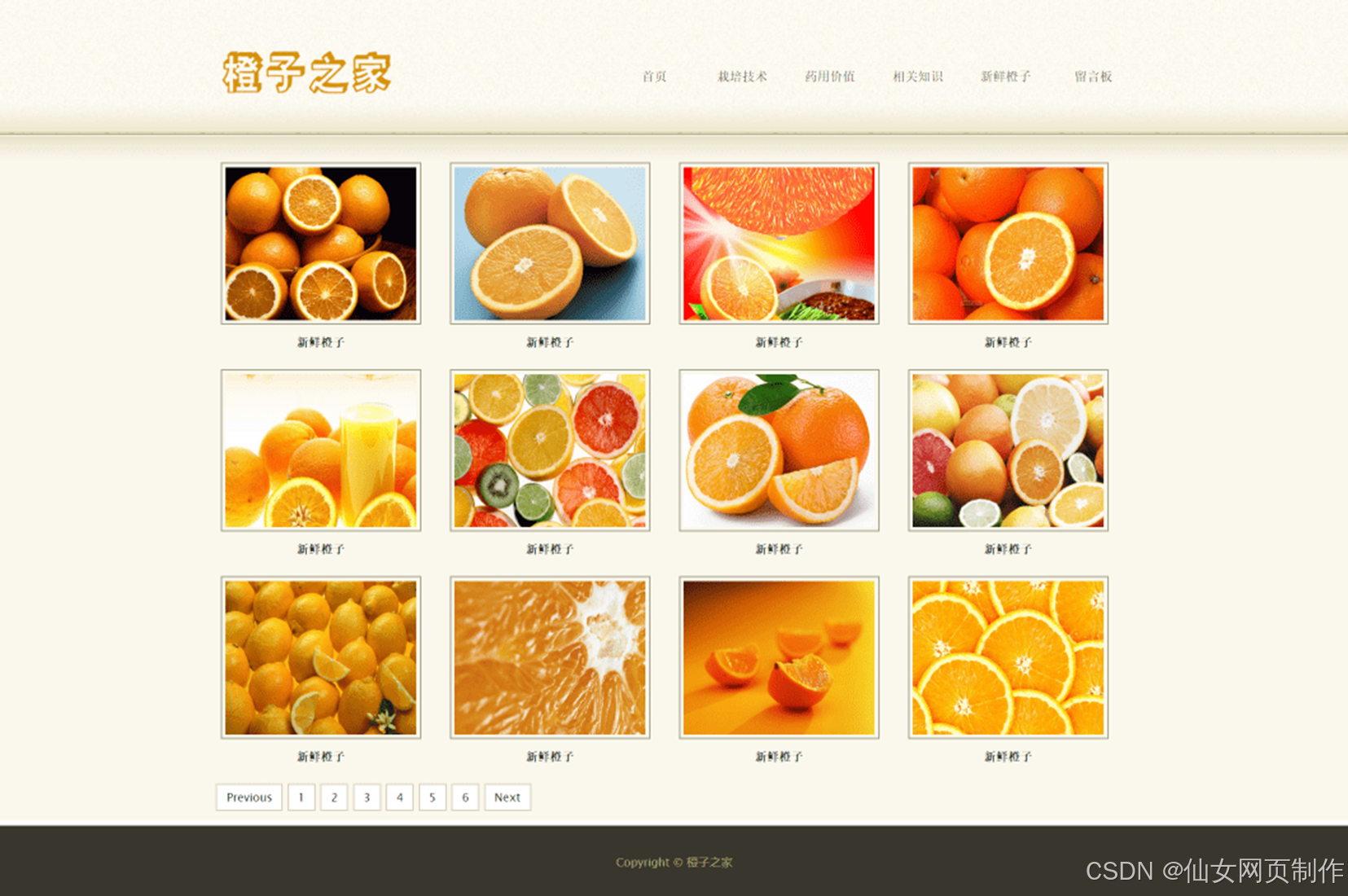 596. 大学生HTML期末大作业 ―【橙子之家果蔬主题网页(6页)】 Web前端网页制作 html+css+js-CSDN博客