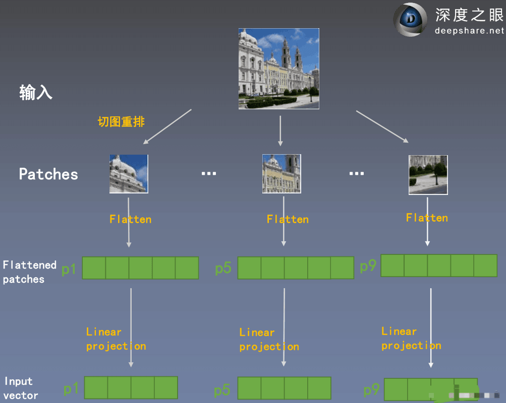 【大模型:多模态LLM】--一文理解VIT（Vision Transformer）模型_vit模型-CSDN博客