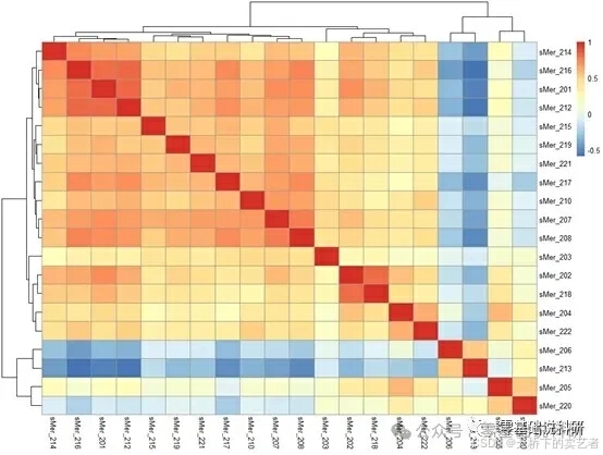 代码+视频，R语言pheatmap包绘制热图_r语言热图代码-CSDN博客