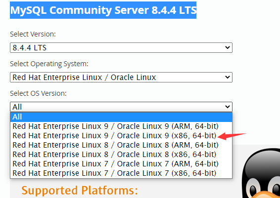 CentOS Stream10 安装mysql-8.4.4_centos stream 10 安装mysql-CSDN博客