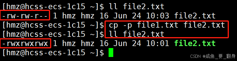 Linux基本命令篇 —— cp命令_linux cp-CSDN博客